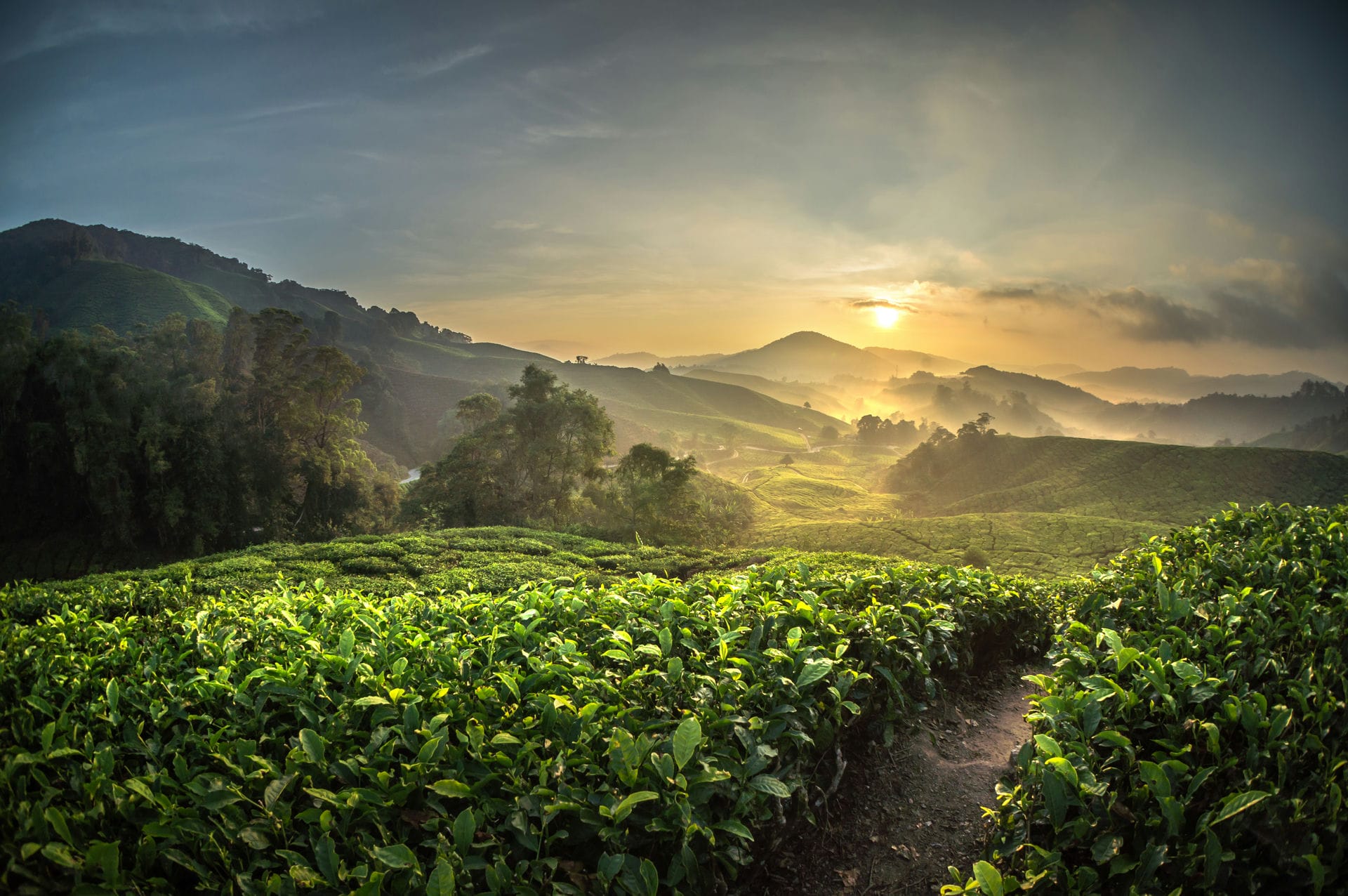 Wakaf Pahang Muamalat | Wakaf Muamalat